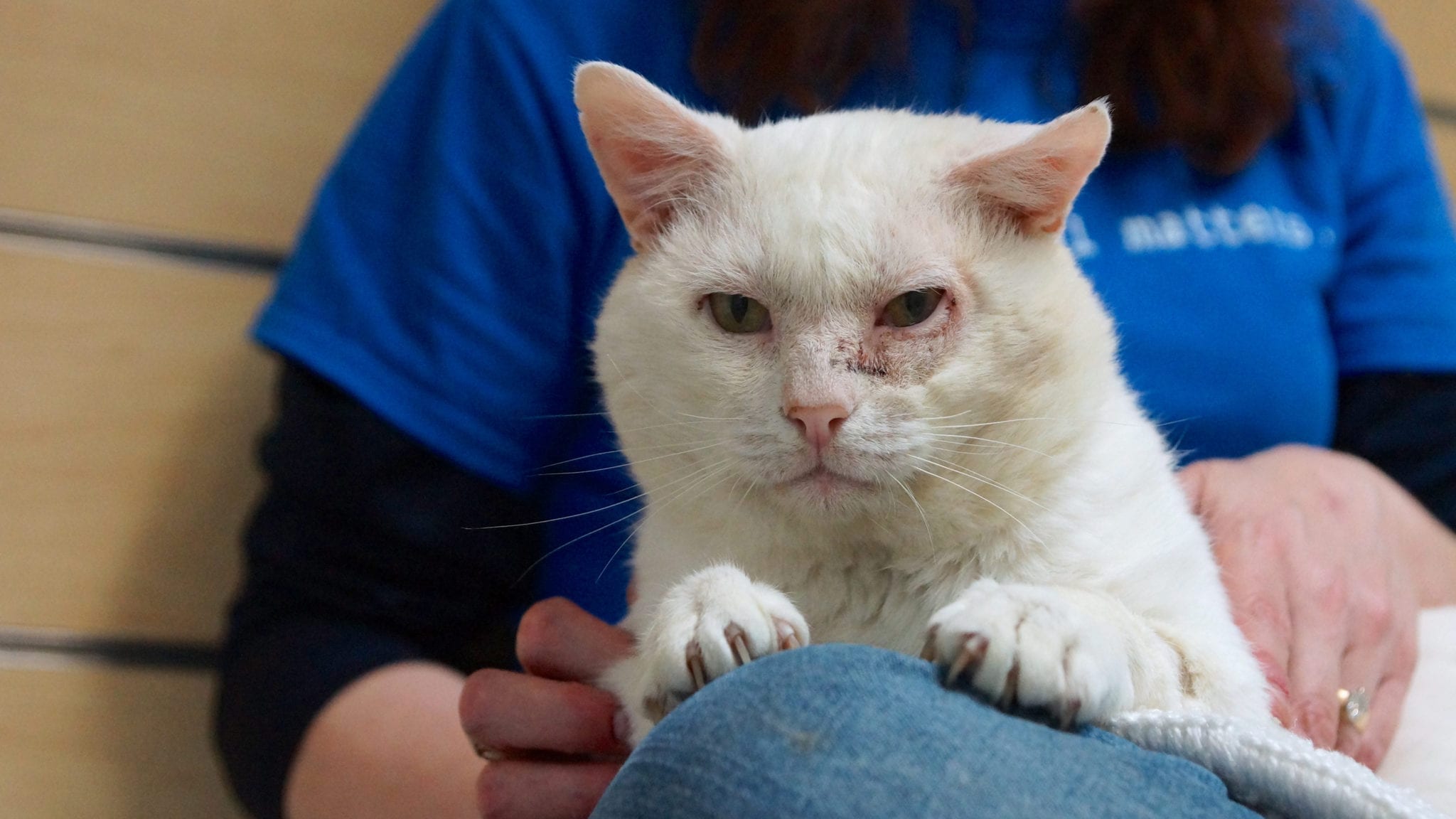 Get Help with an Animal - Friends For Life Animal Shelter