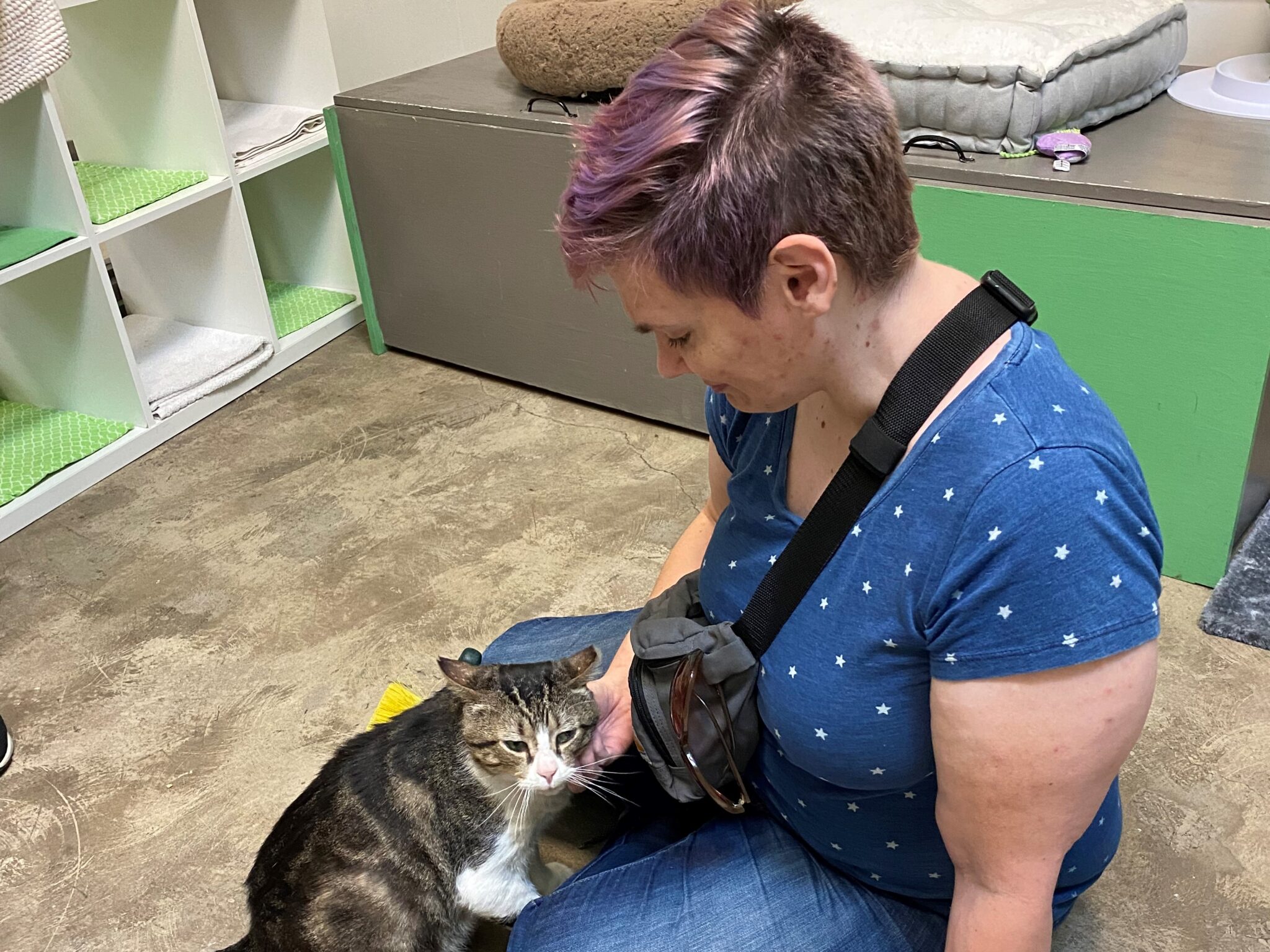 Foster Spotlight: Rene Ryan - Friends For Life Animal Shelter