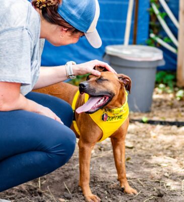 Friends For Life Animal Shelter • Houston, TX - Friends For Life Animal ...