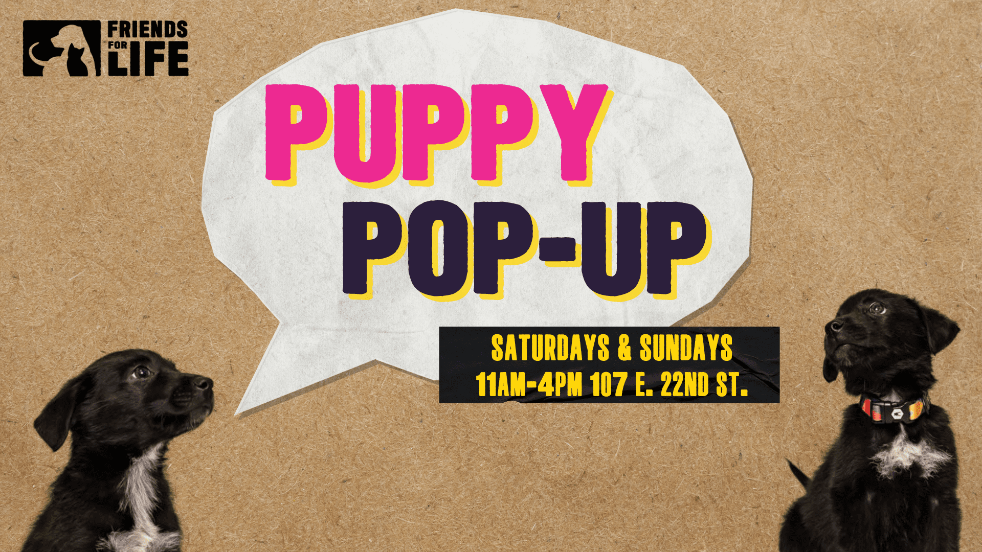 Friends For Life Animal Shelter • Houston, TX - Friends For Life Animal ...