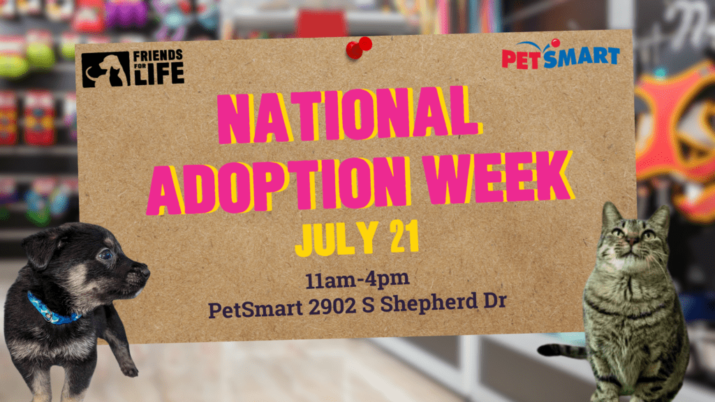 National Adoption Week @PetSmart - Friends For Life Animal Shelter