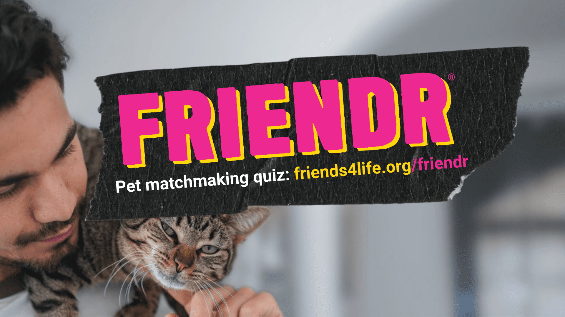 Friendr - Friends For Life Animal Shelter