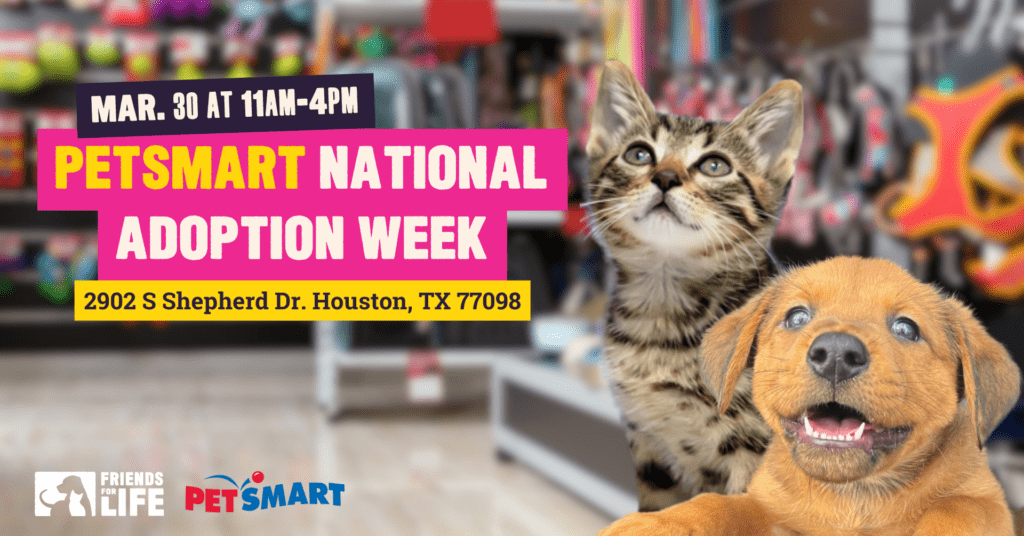 PetSmart National Adoption Week - Friends For Life Animal Shelter